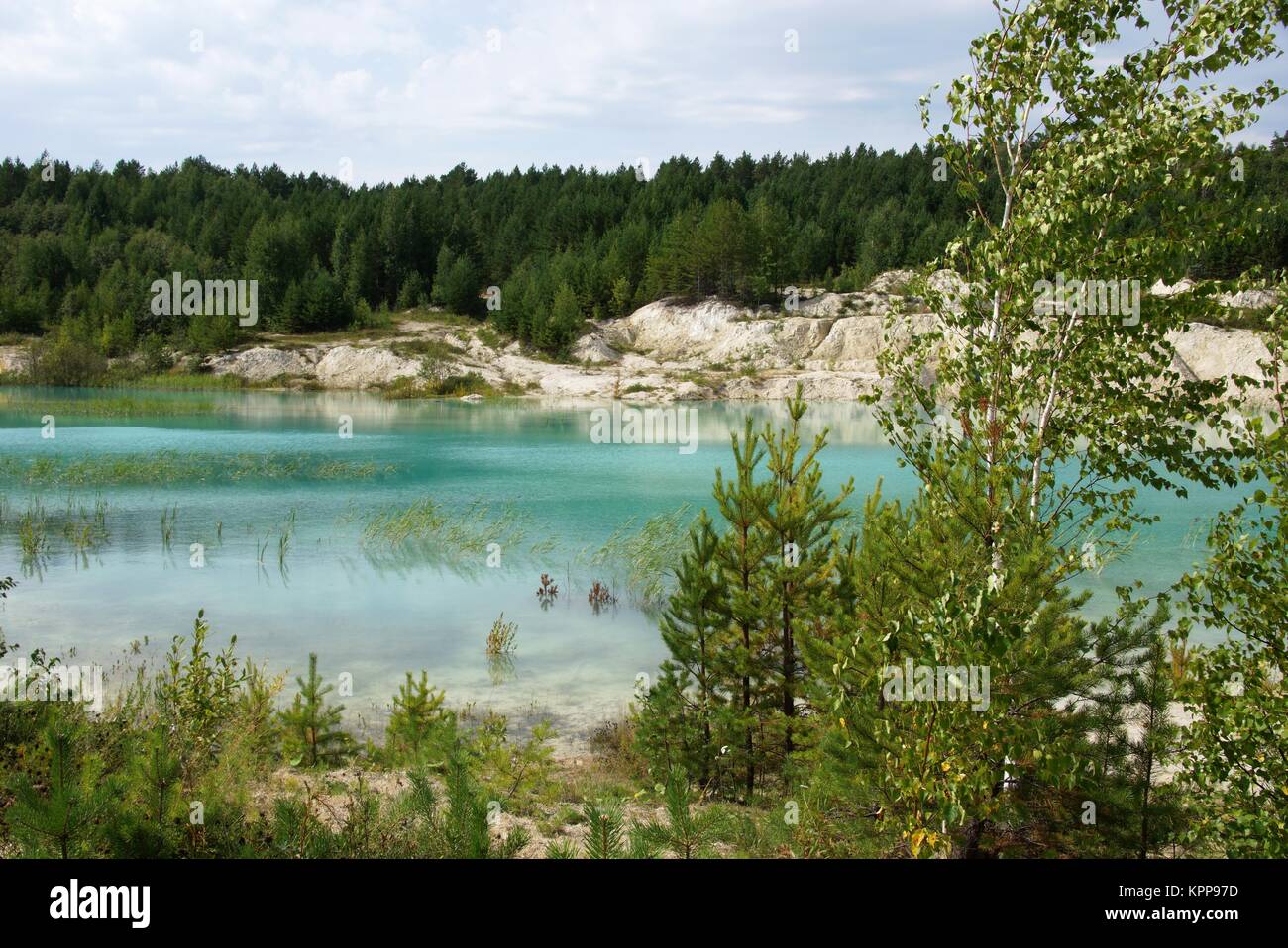 Beautiful water and green trees around Stock Photo - Alamy