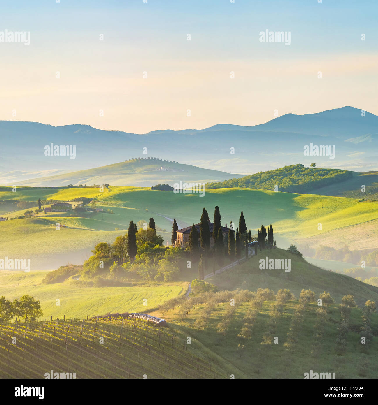 Tuscany at spring Stock Photo - Alamy