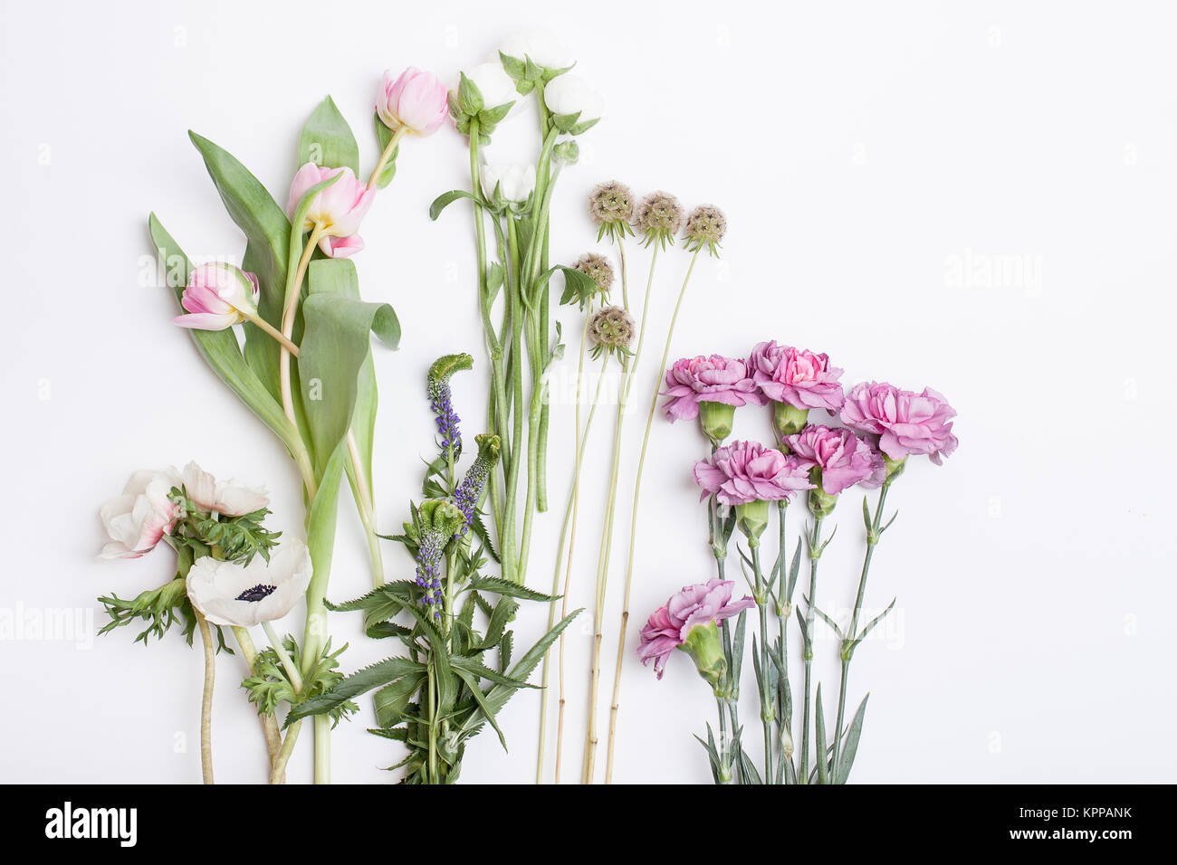 White and pink spring flowers Stock Photo - Alamy