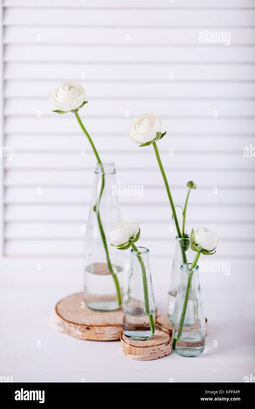 White flowers in the bottles Stock Photo - Alamy