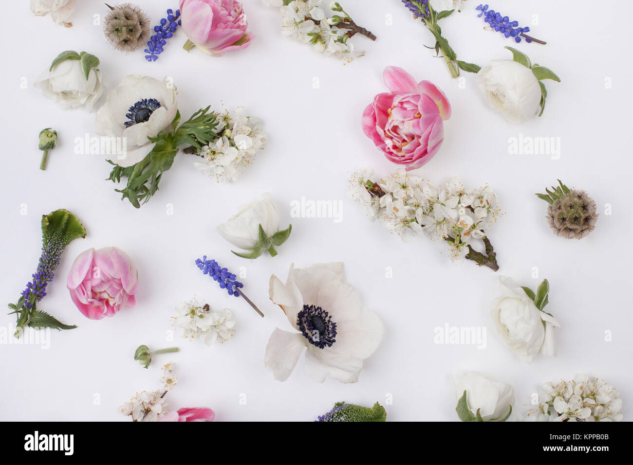 Heads of spring flowers Stock Photo - Alamy