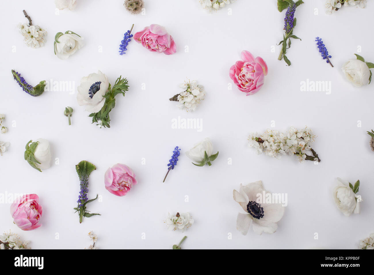 Heads of pastel, spring flowers Stock Photo - Alamy