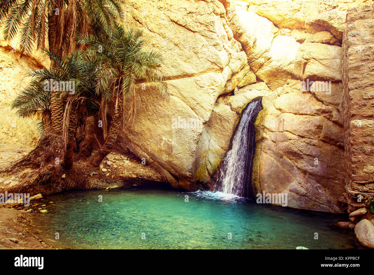 Scenic waterfall in oasis Chebika. Sahara Desert, Tunisia, Africa Stock ...