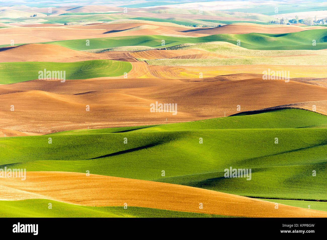 Palouse Region Steptoe Butte Farmland Rolling Hills Agriculture Stock ...