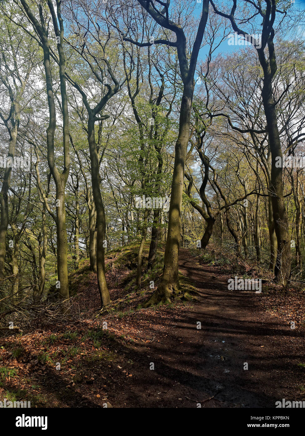 Hop trail hi-res stock photography and images - Alamy