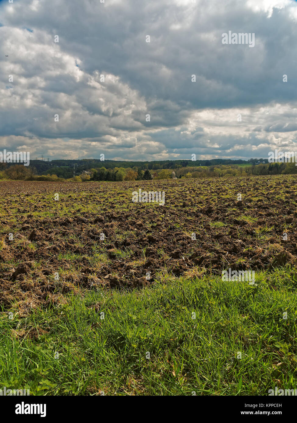 A field in spring just before sowing Stock Photo - Alamy