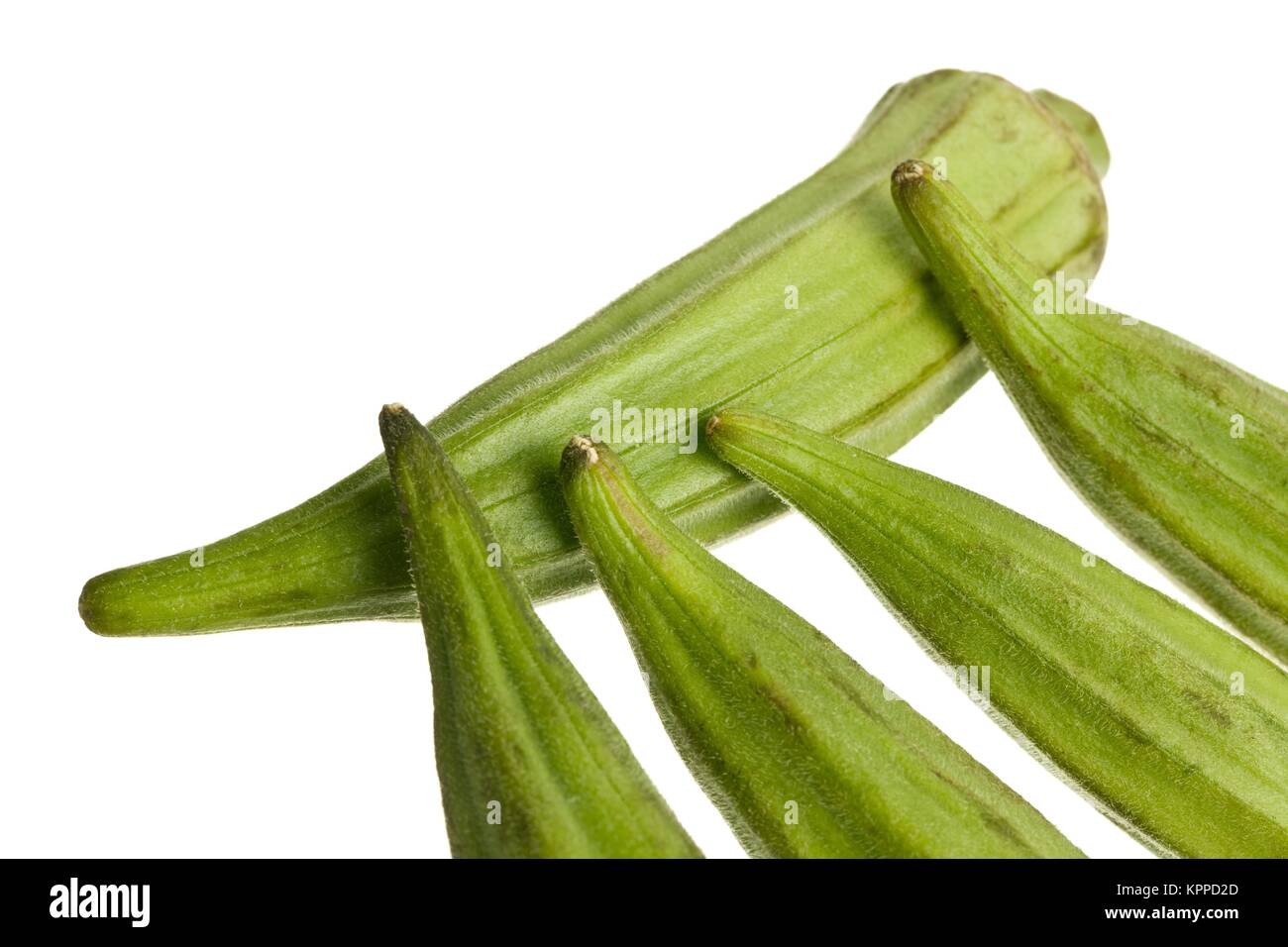 Okra plant growing garden not farm hi-res stock photography and images ...