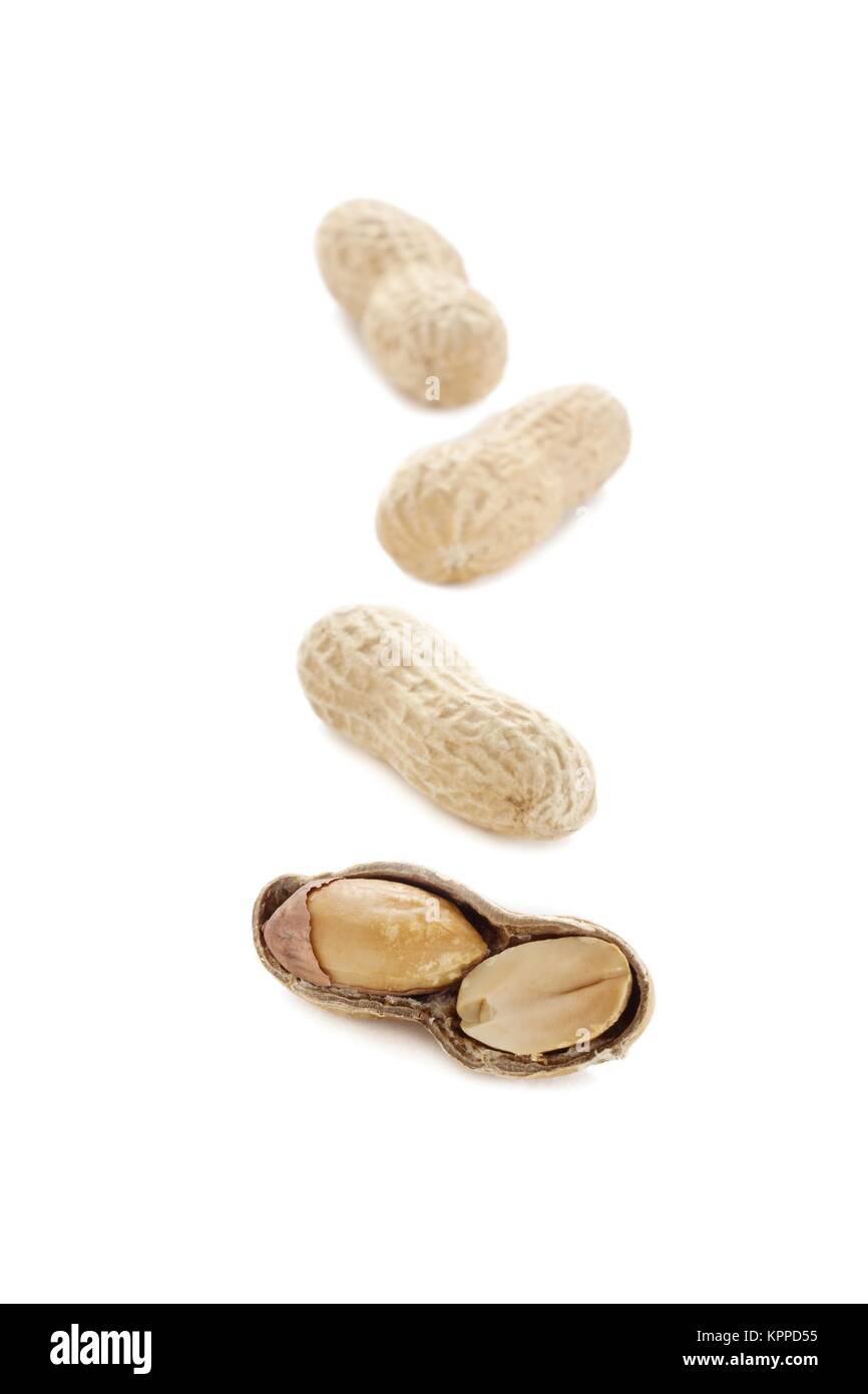 Earthnuts Cut Out Stock Images & Pictures - Alamy