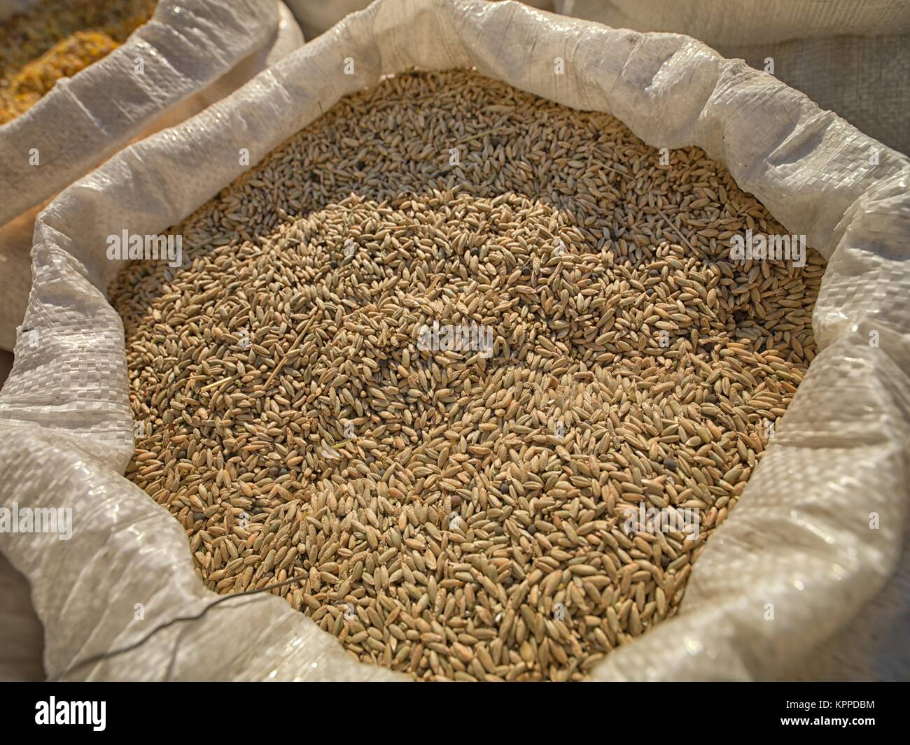 Sack of wheat hi-res stock photography and images - Alamy