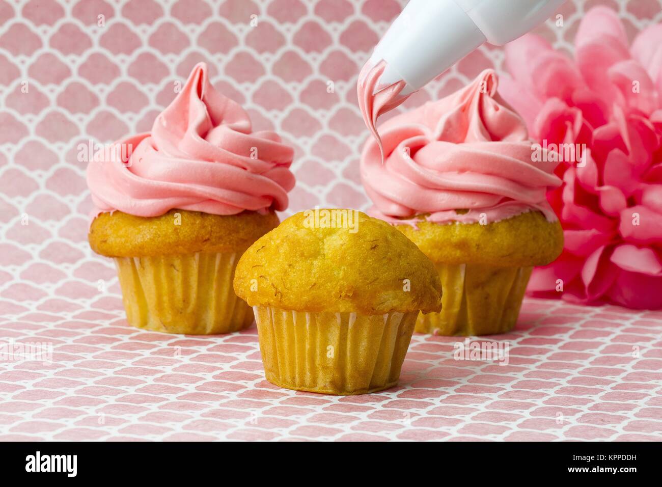 human hand decorating cupcakes Stock Photo - Alamy