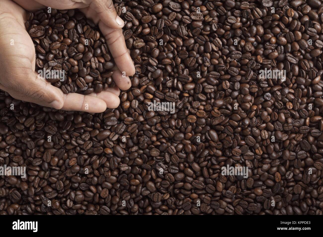 human hand with coffee beans Stock Photo - Alamy