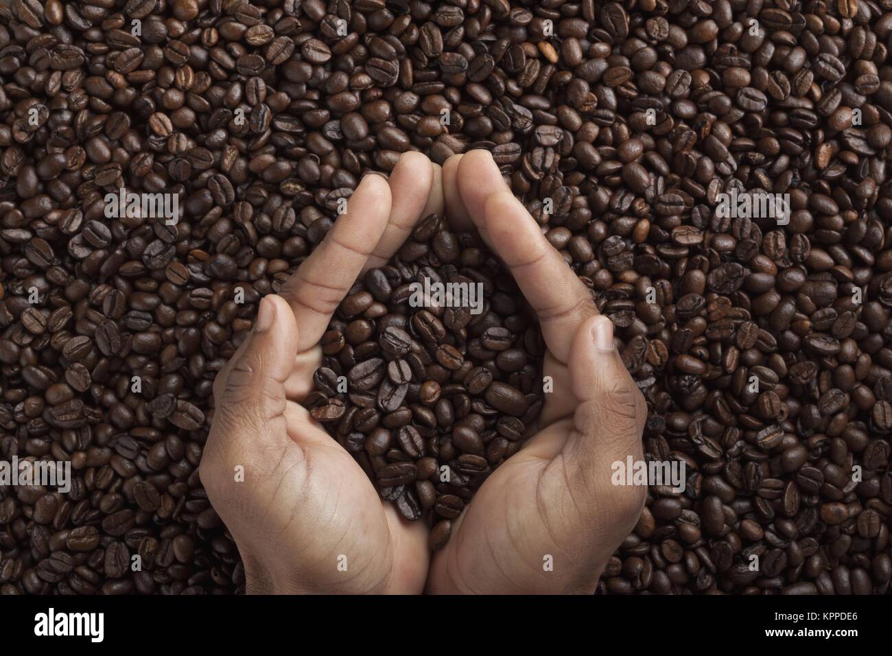 human hands and coffee beans Stock Photo - Alamy
