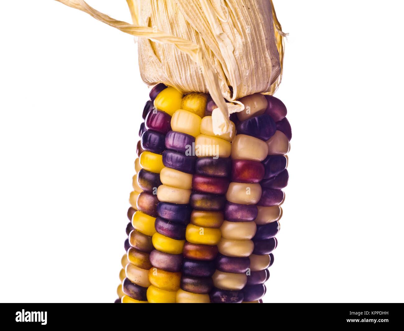 indian corn cob Stock Photo - Alamy