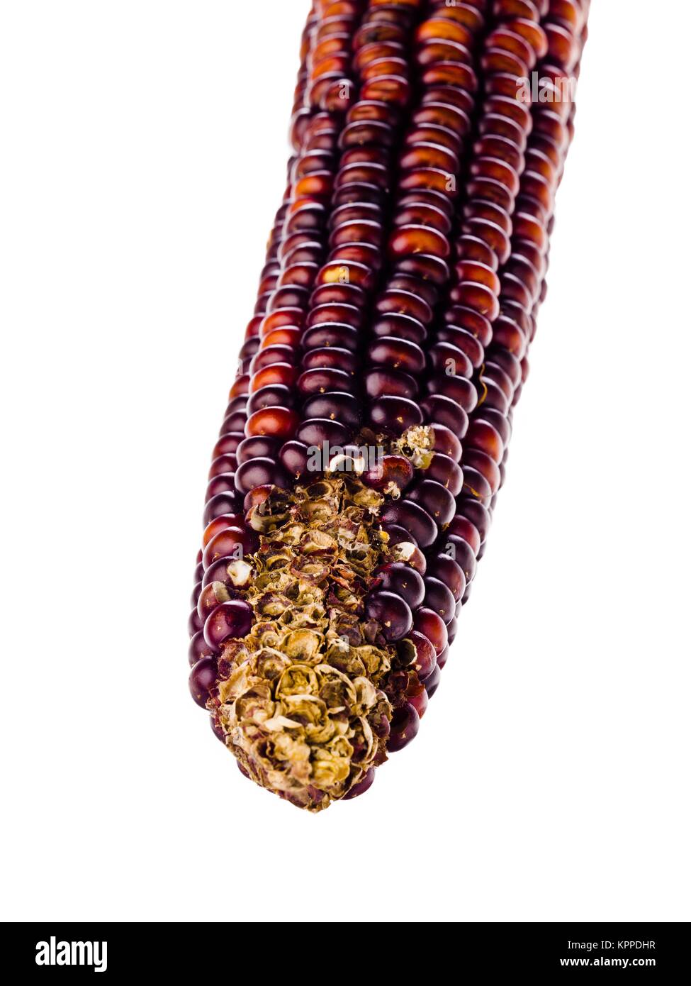 Pest infested crop hi-res stock photography and images - Alamy