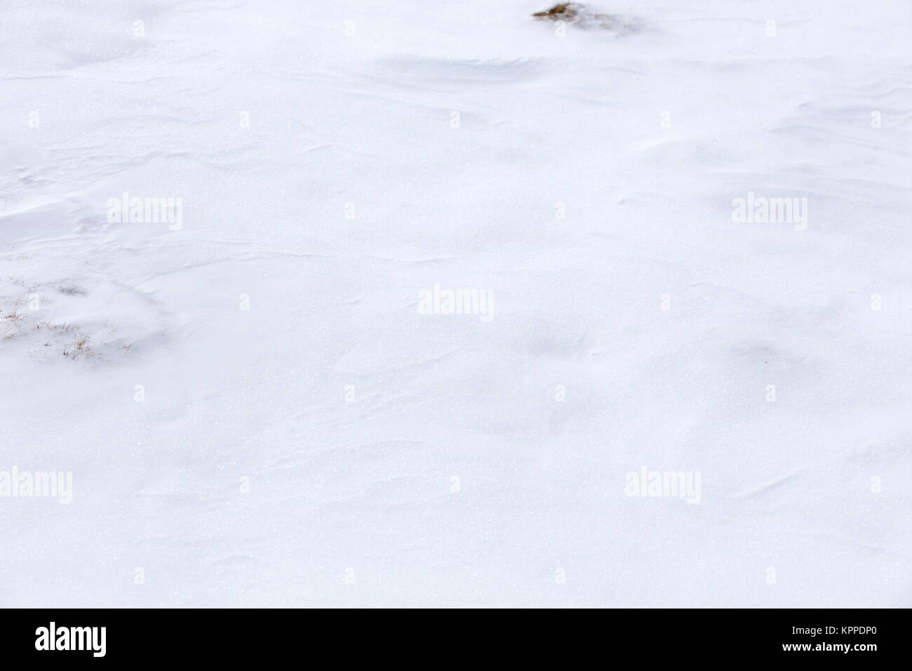 Pure white snow texture cold hi-res stock photography and images - Alamy