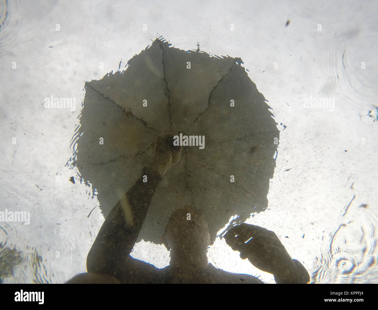 Swimming in the rain Stock Photo - Alamy