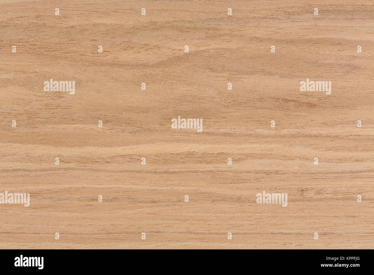 Light Walnut Wood Texture