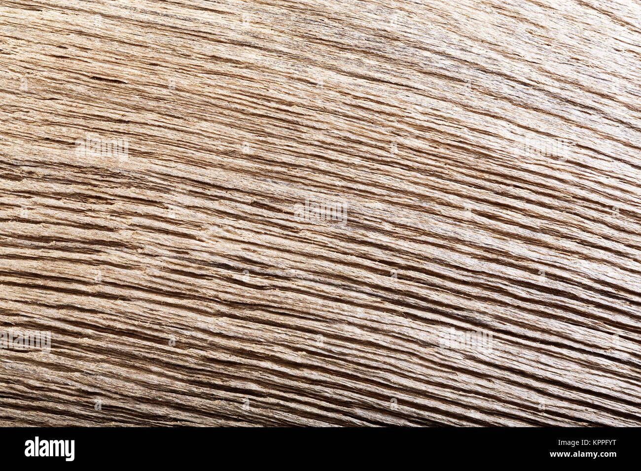 Old wood bog oak hi-res stock photography and images - Alamy