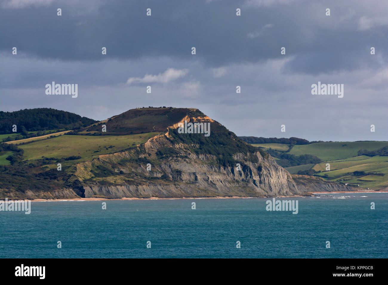 Golden cap fossil hi-res stock photography and images - Alamy