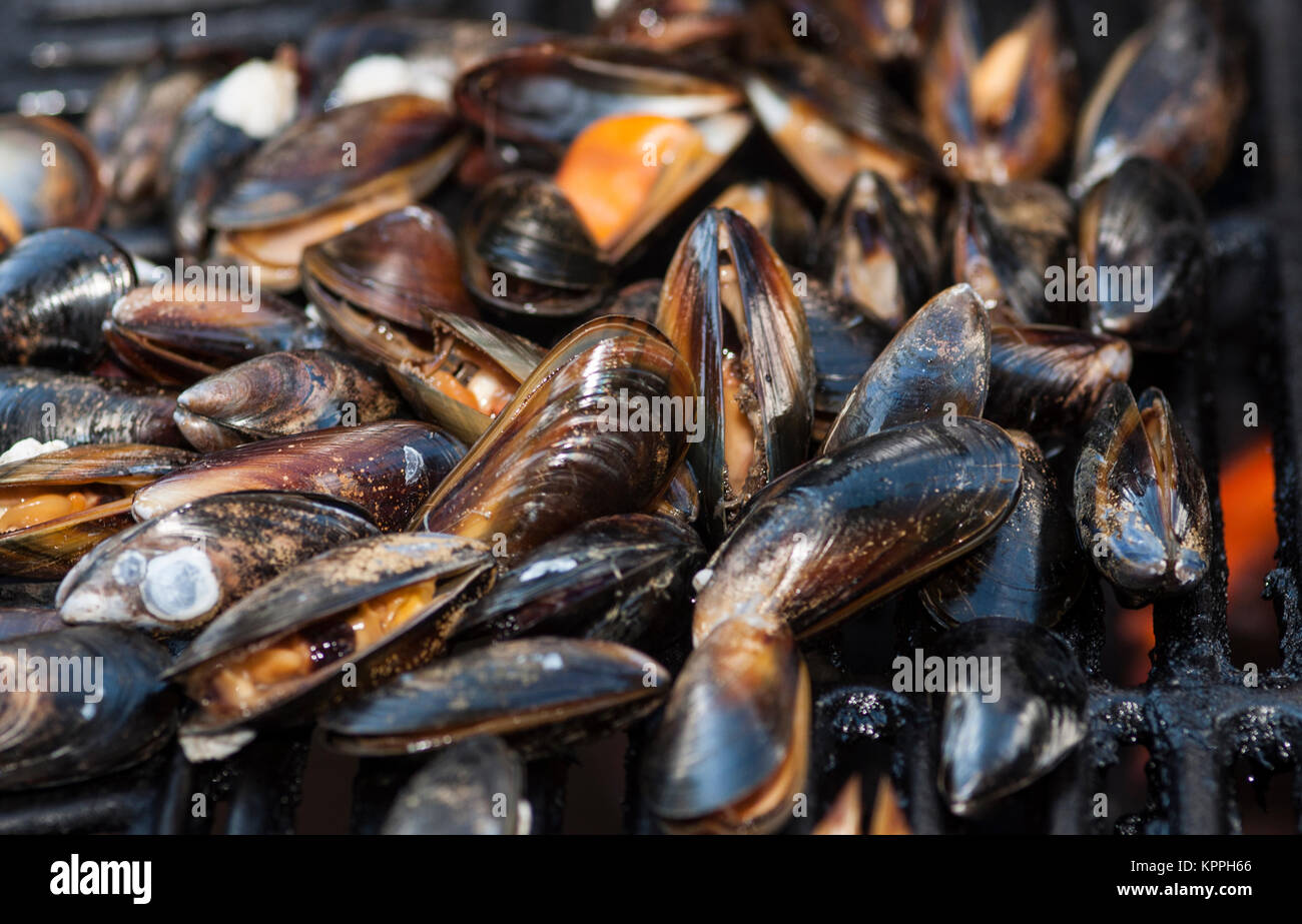 Fresh mussels cooking on a barbecue Stock Photo - Alamy