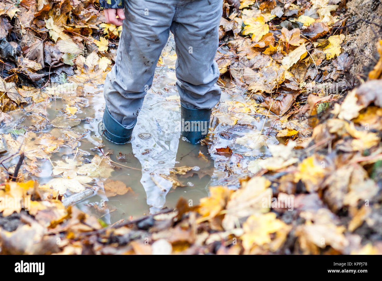 Puddle drain hi-res stock photography and images - Alamy