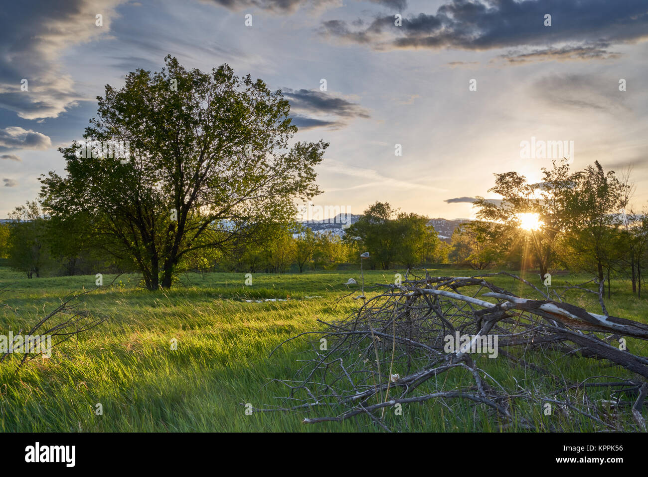A warm sunset Stock Photo - Alamy