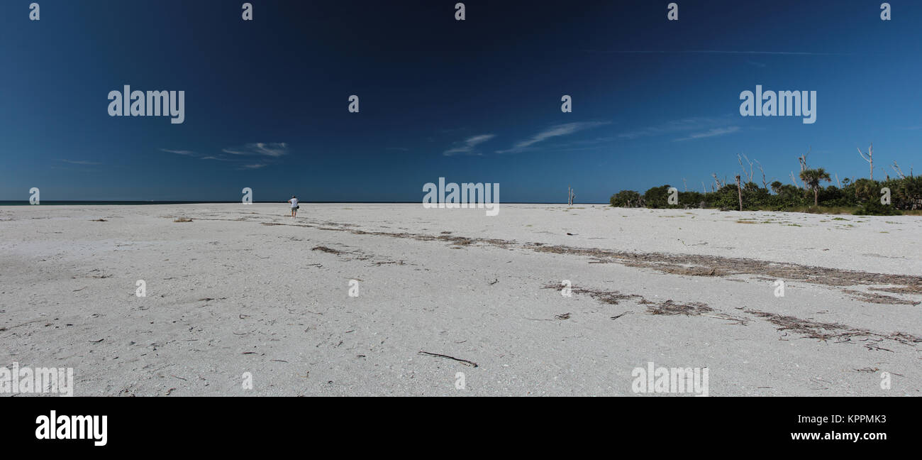 Florida beach panoramic, Stump Pass Beach State Park Stock Photo - Alamy
