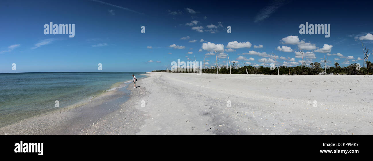 Florida beach panoramic, Stump Pass Beach State Park Stock Photo - Alamy