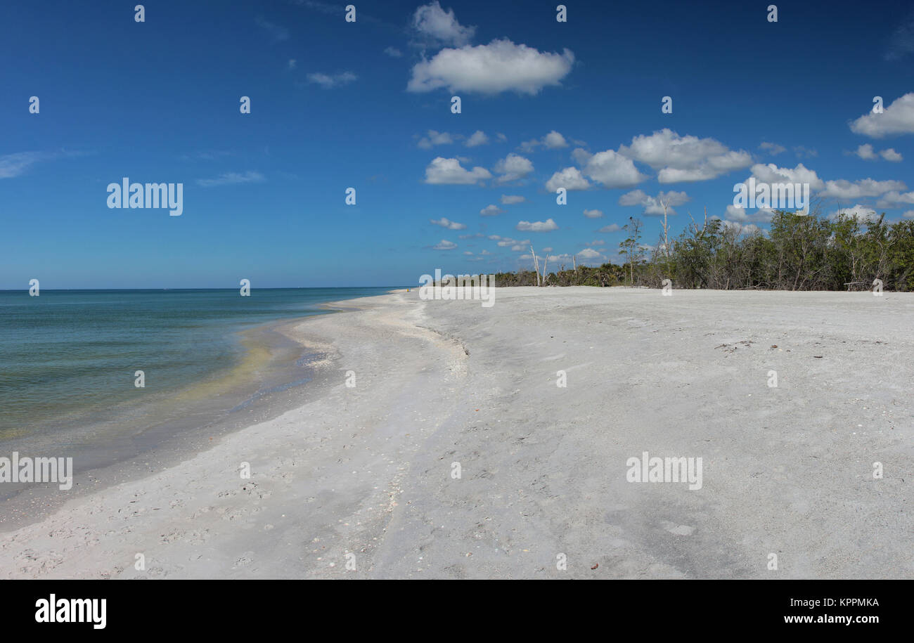 Florida beach panoramic, Stump Pass Beach State Park Stock Photo - Alamy