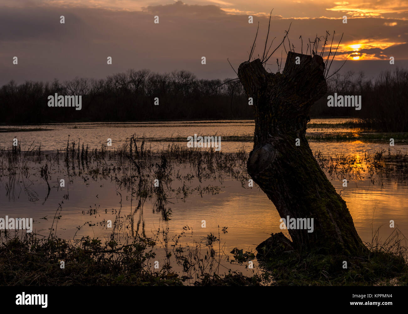 Crossing The Berezina High Resolution Stock Photography and Images - Alamy