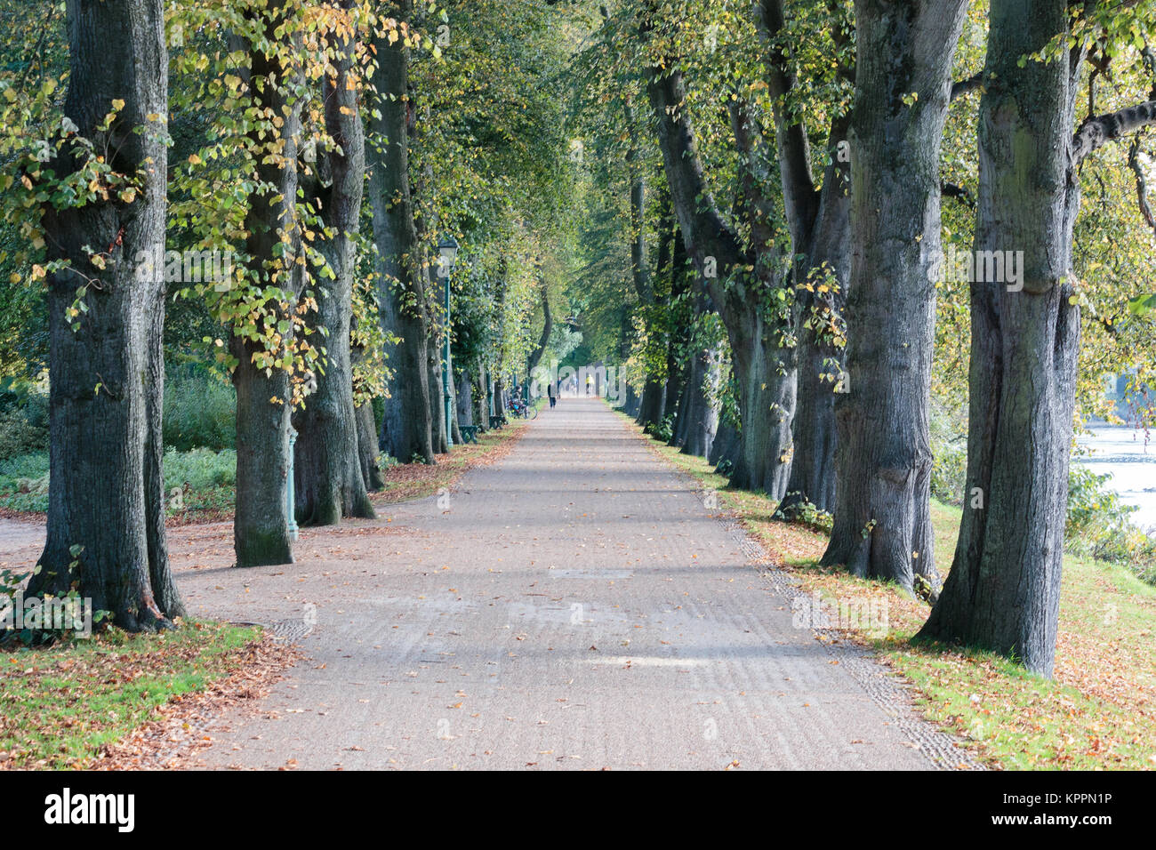 Avenham Park, Preston Stock Photo - Alamy