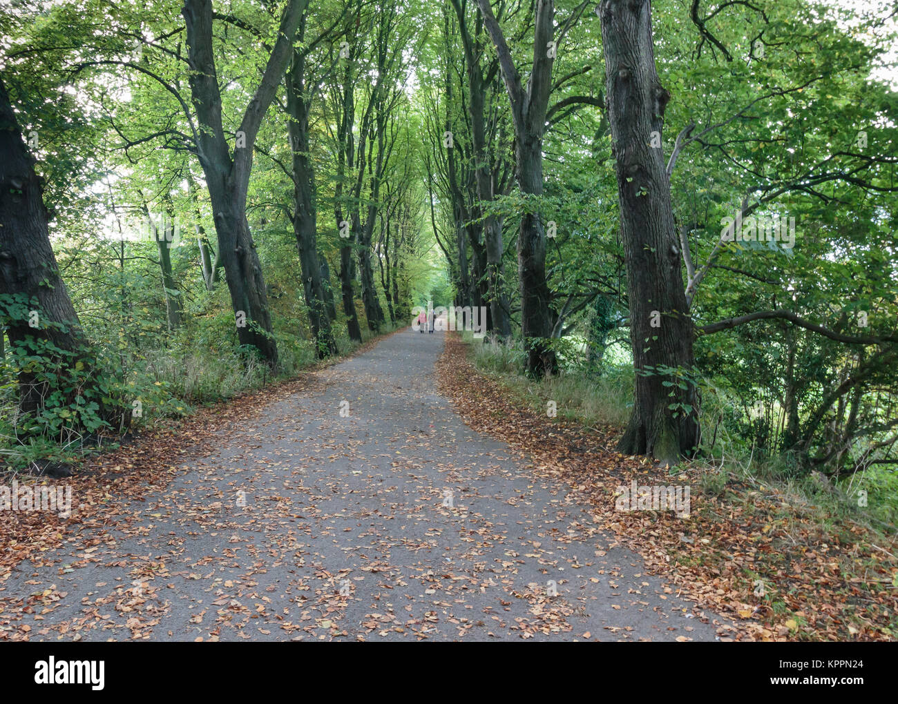 Avenham Park, Preston Stock Photo - Alamy