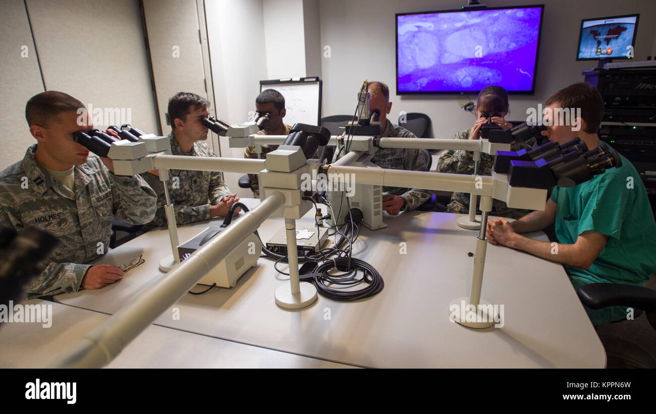 Medical and dental postgraduate students examine tissue samples at the ...