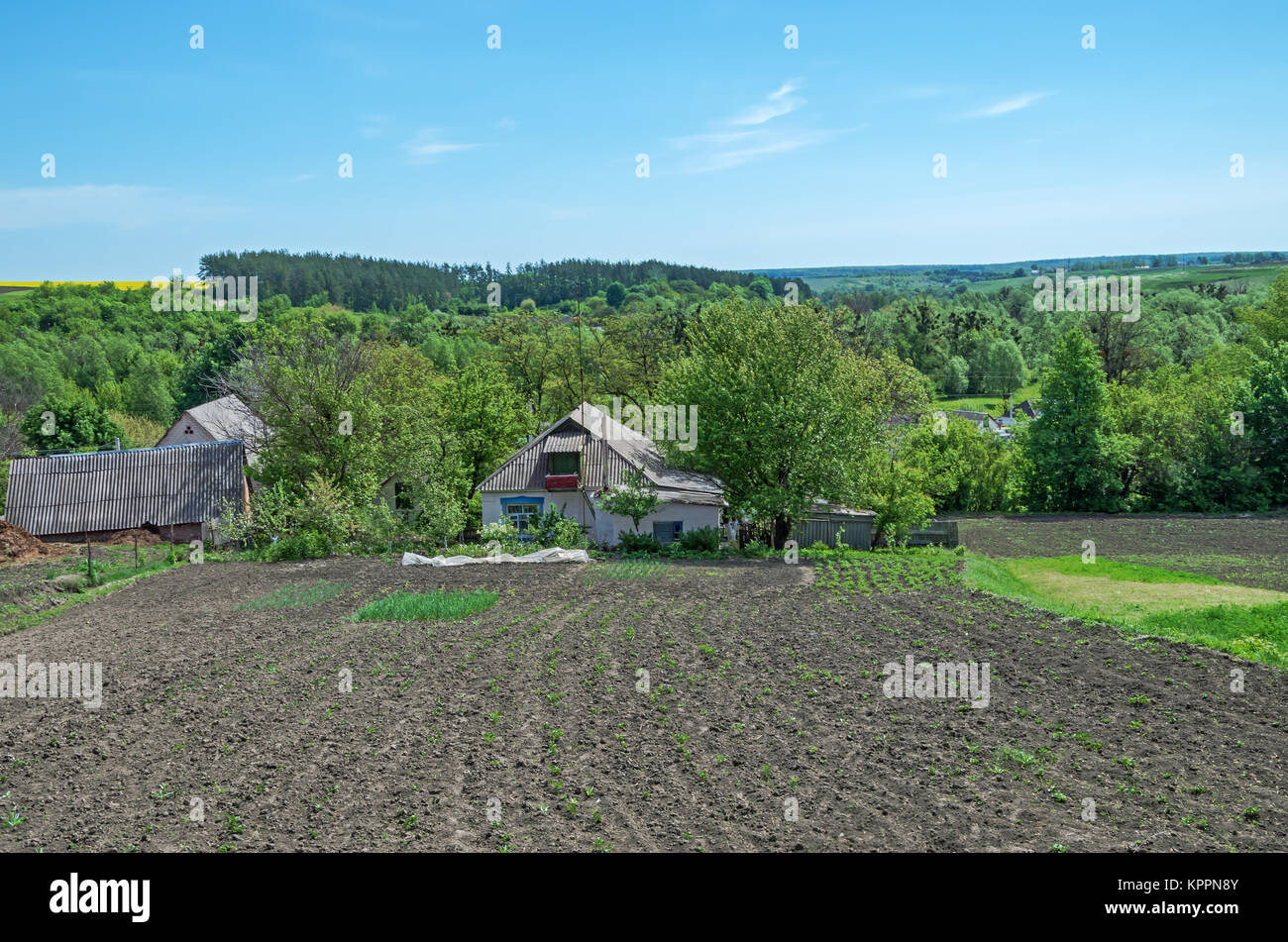 View on to the farm in early spring during flowering fruit trees Stock ...