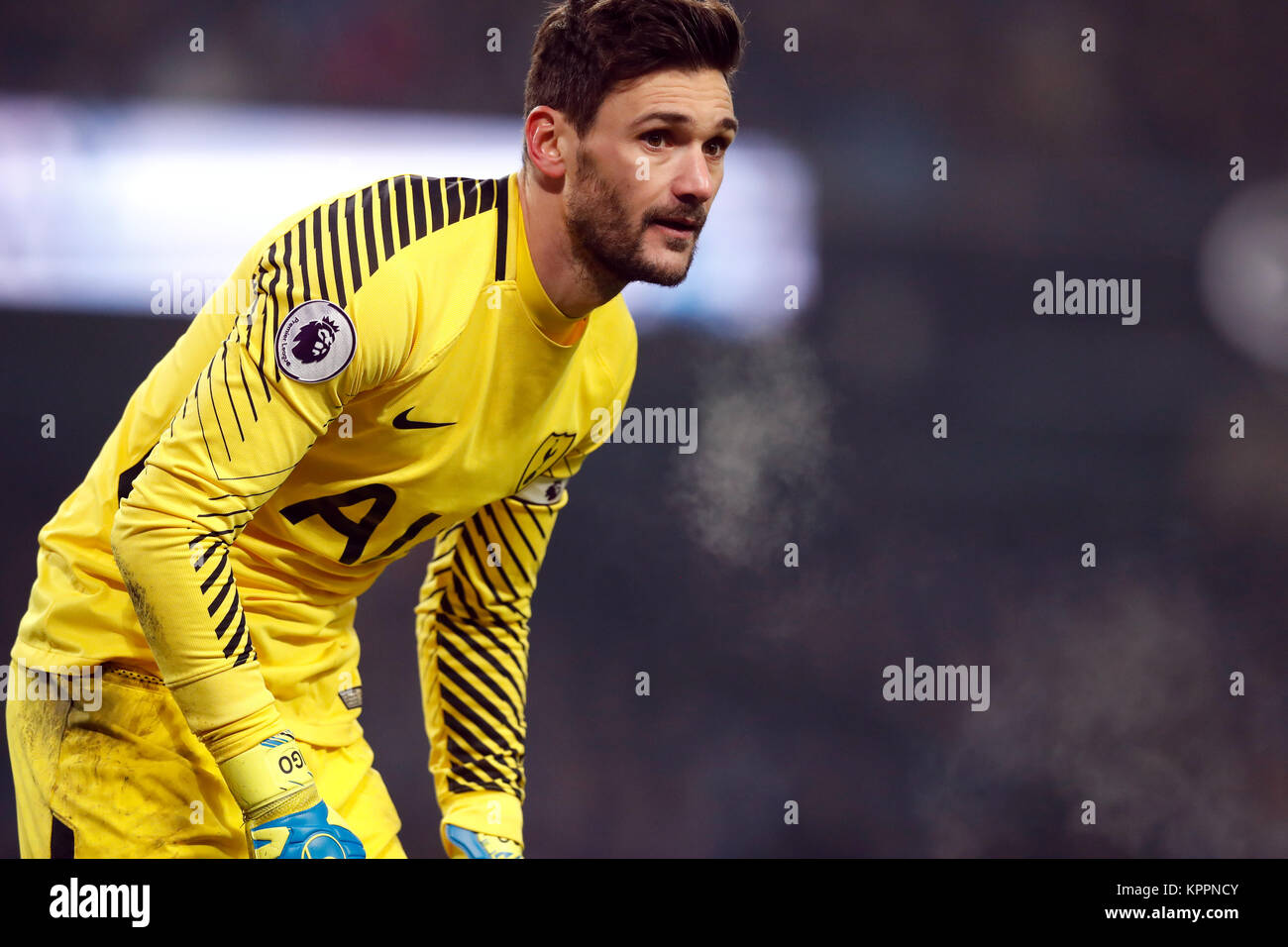 Tottenham Hotspur goalkeeper Hugo Lloris Stock Photo - Alamy