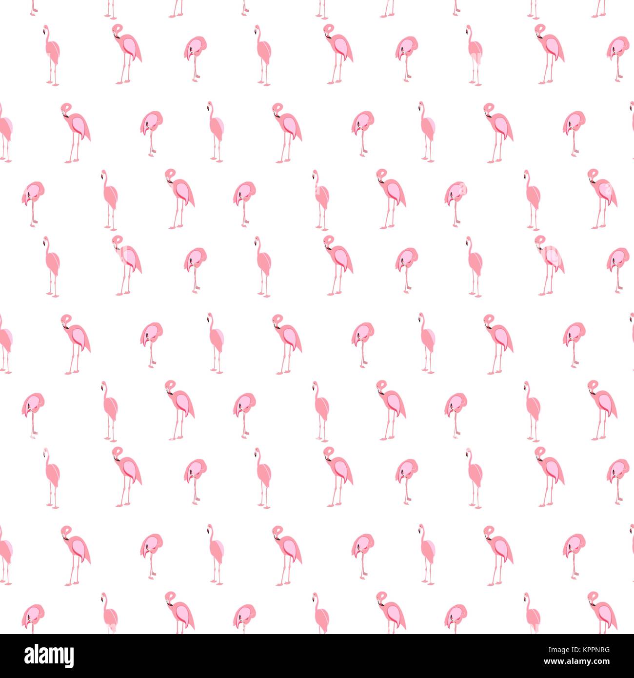 Colorful pink flamingo isolated on white background. Seamless pa Stock ...