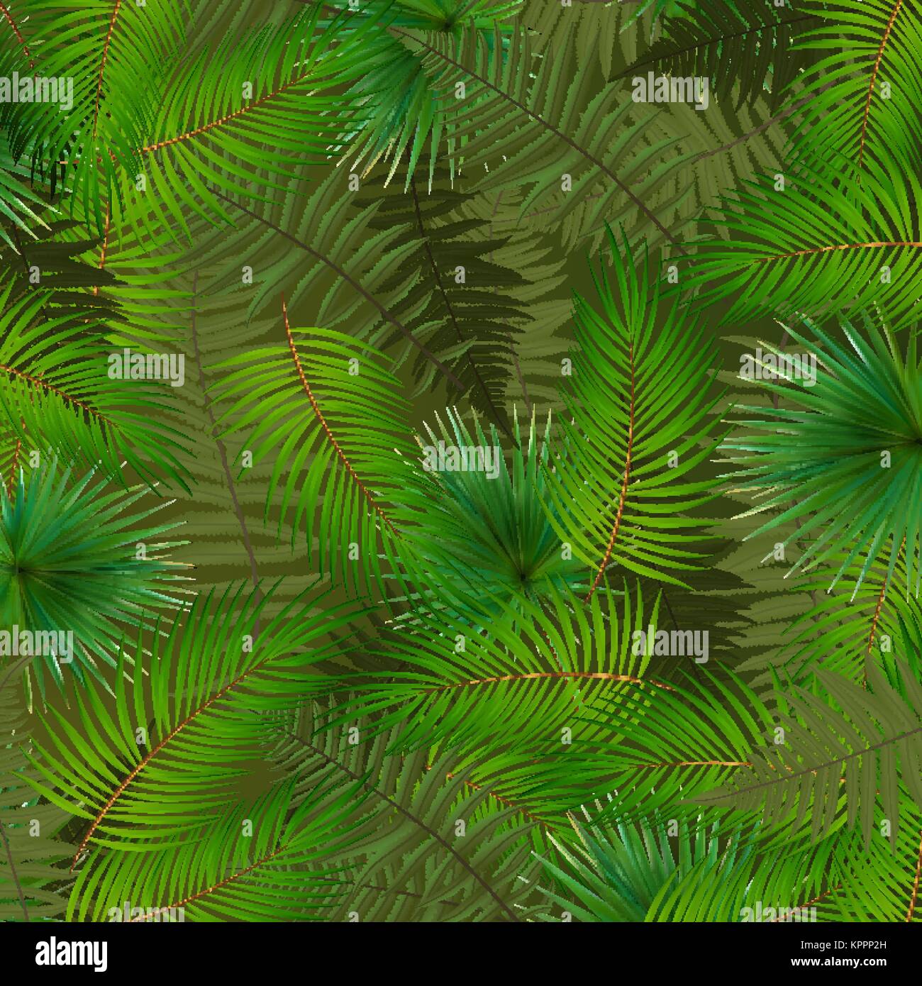 Colorful naturalistic background from the leaf of Libistones (Pa Stock ...