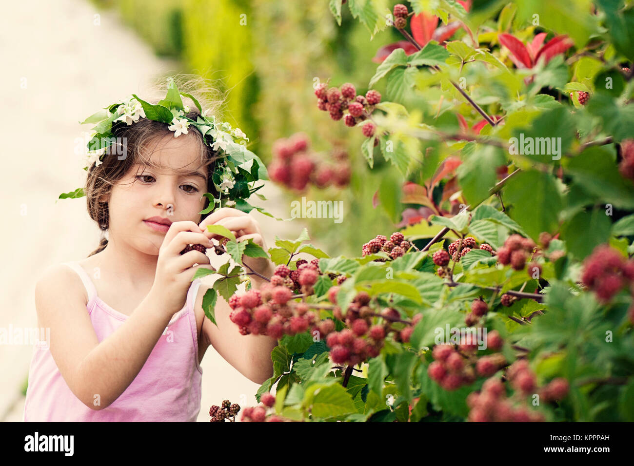 Child picking fruits hi-res stock photography and images - Alamy