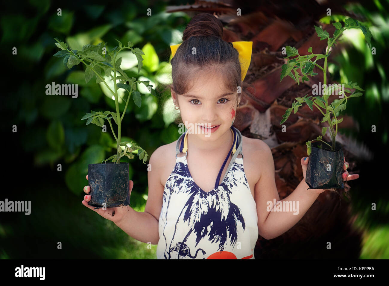 Portrait of little girl proudly showing her tomato plants Stock Photo ...