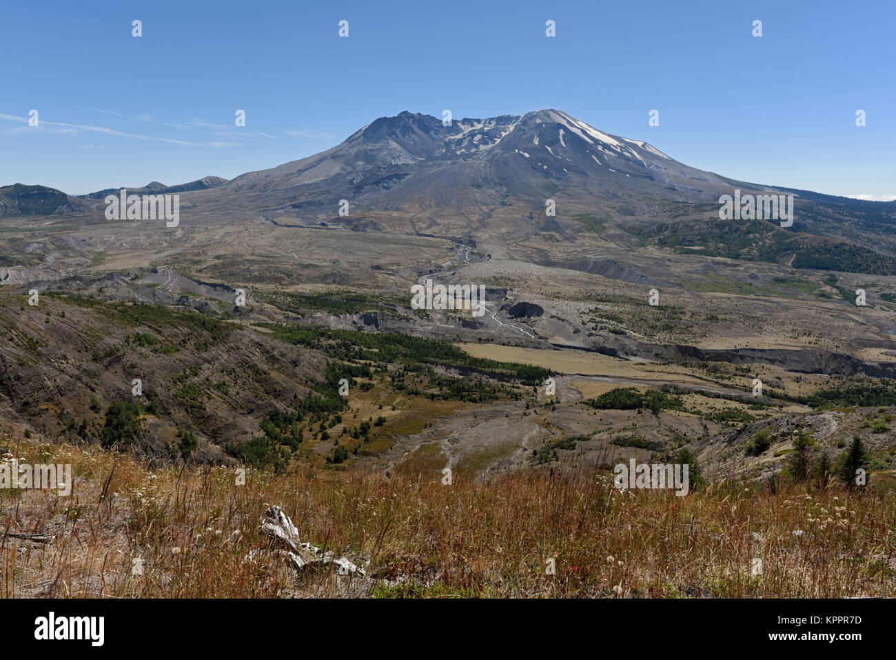 Mount St. Helens volcano in Washington State, USA Stock Photo - Alamy