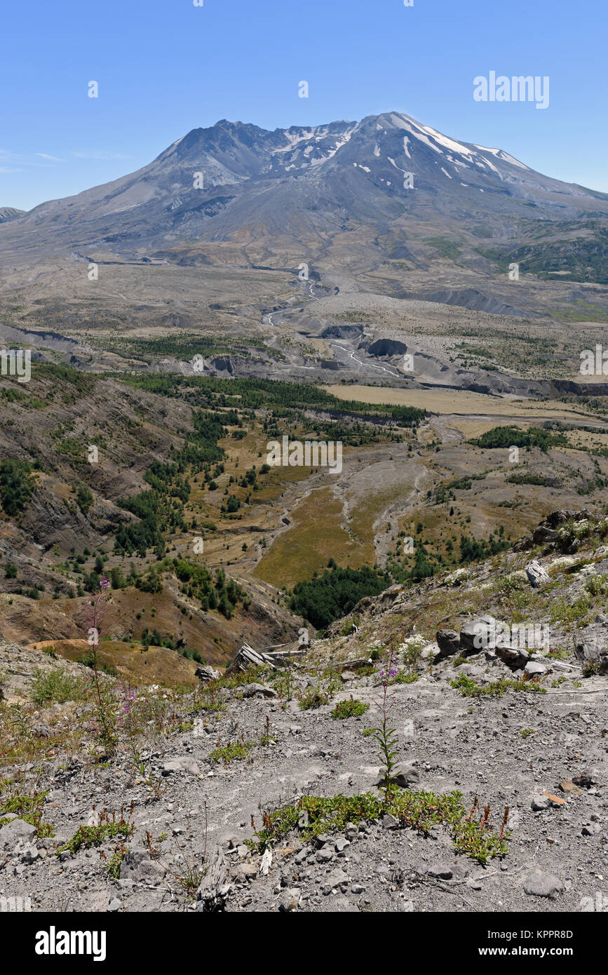 Mount St. Helens volcano in Washington State, USA Stock Photo - Alamy