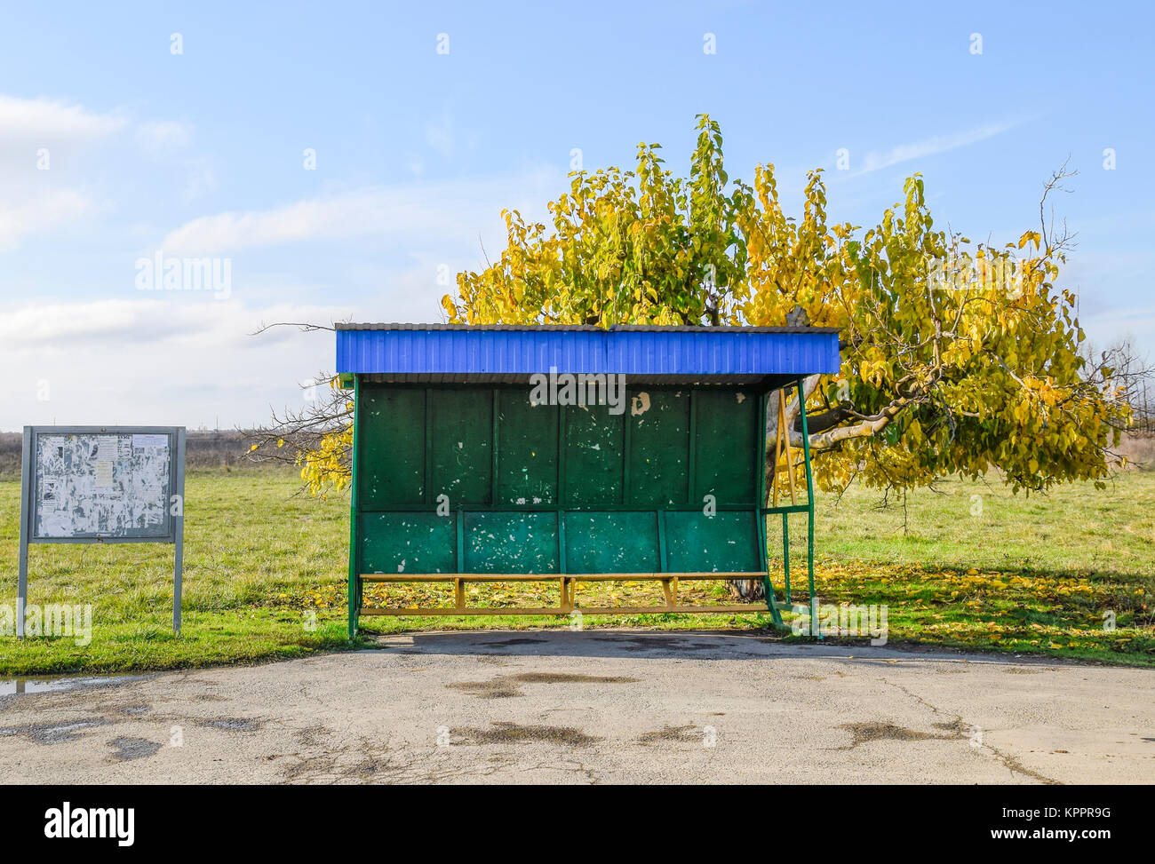 Bus stop in the village. The stopper next to the tree Stock Photo - Alamy