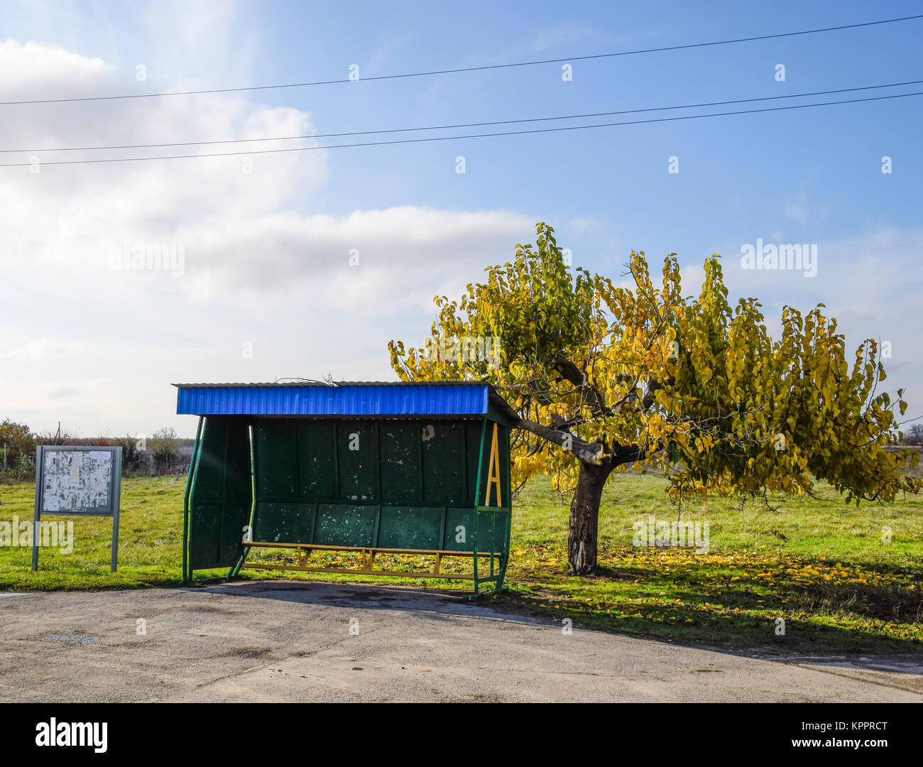 Bus stop in the village. The stopper next to the tree Stock Photo - Alamy