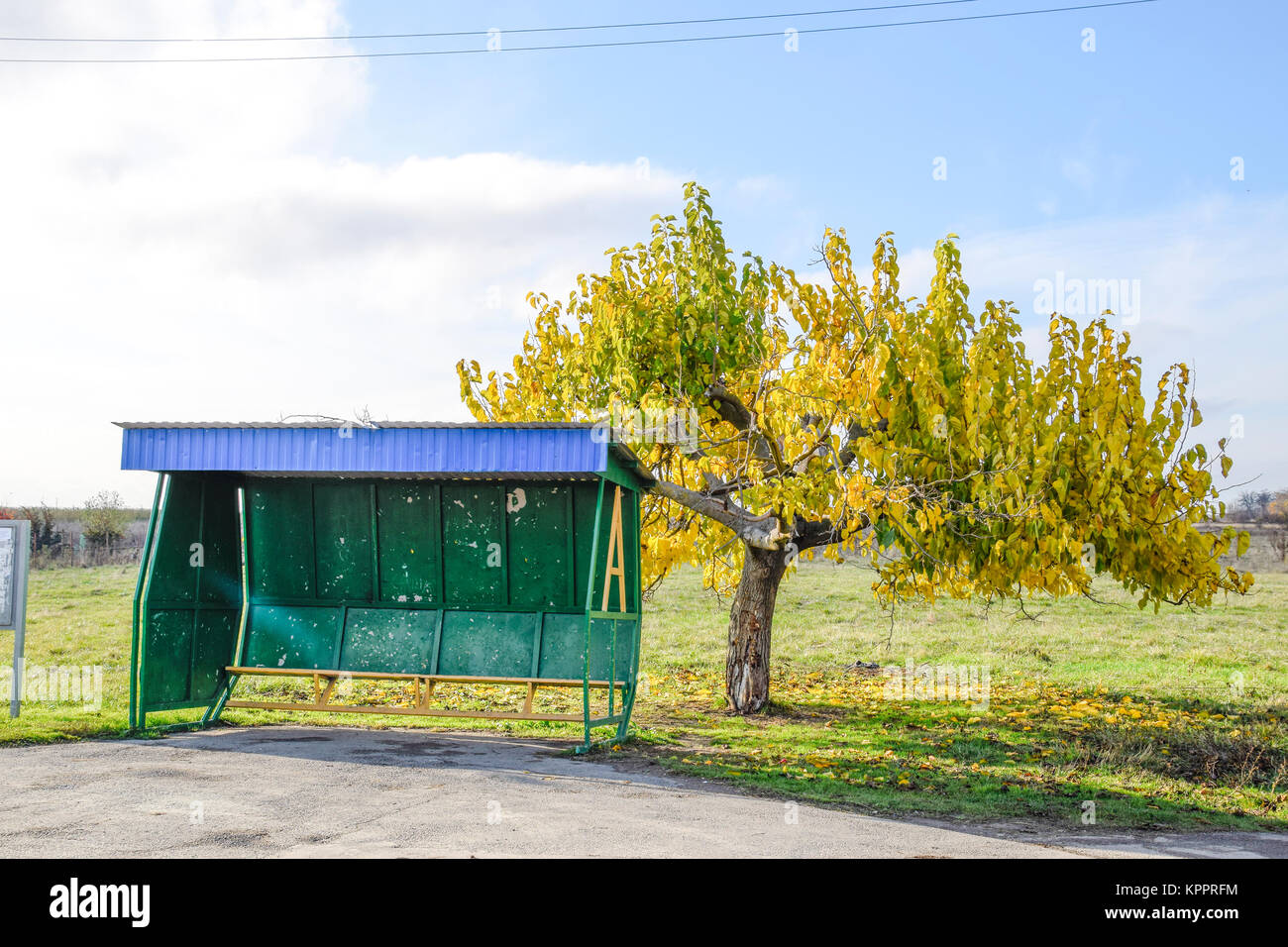 Bus stop in the village. The stopper next to the tree Stock Photo - Alamy