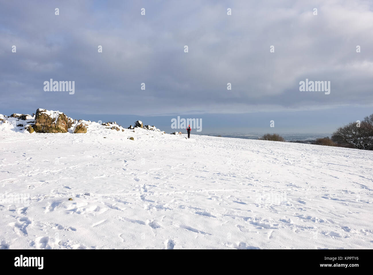 Beacon Hill Park In Winter