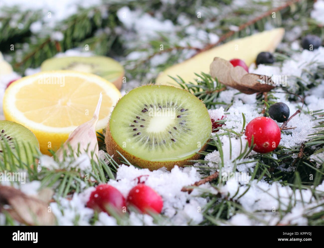 Orange Fruit Tree Snow High Resolution Stock Photography and Images - Alamy