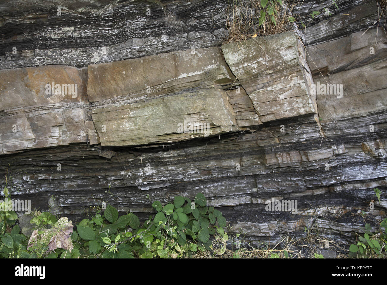 Schistous rock hi-res stock photography and images - Alamy