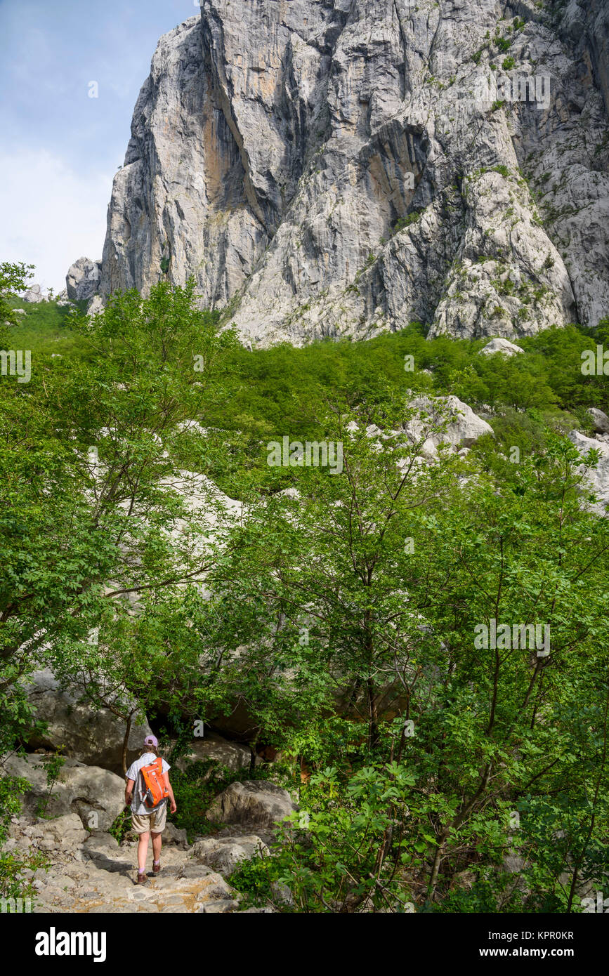 Trail through the limestone gorge, Paklenica National Park, Croatia ...