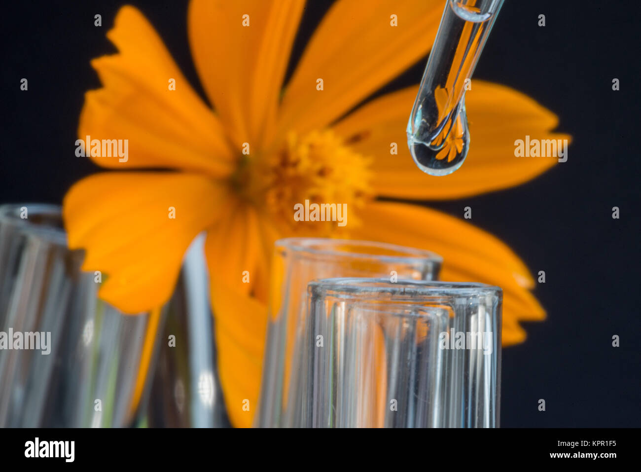 Liquid drop on test tube Stock Photo - Alamy