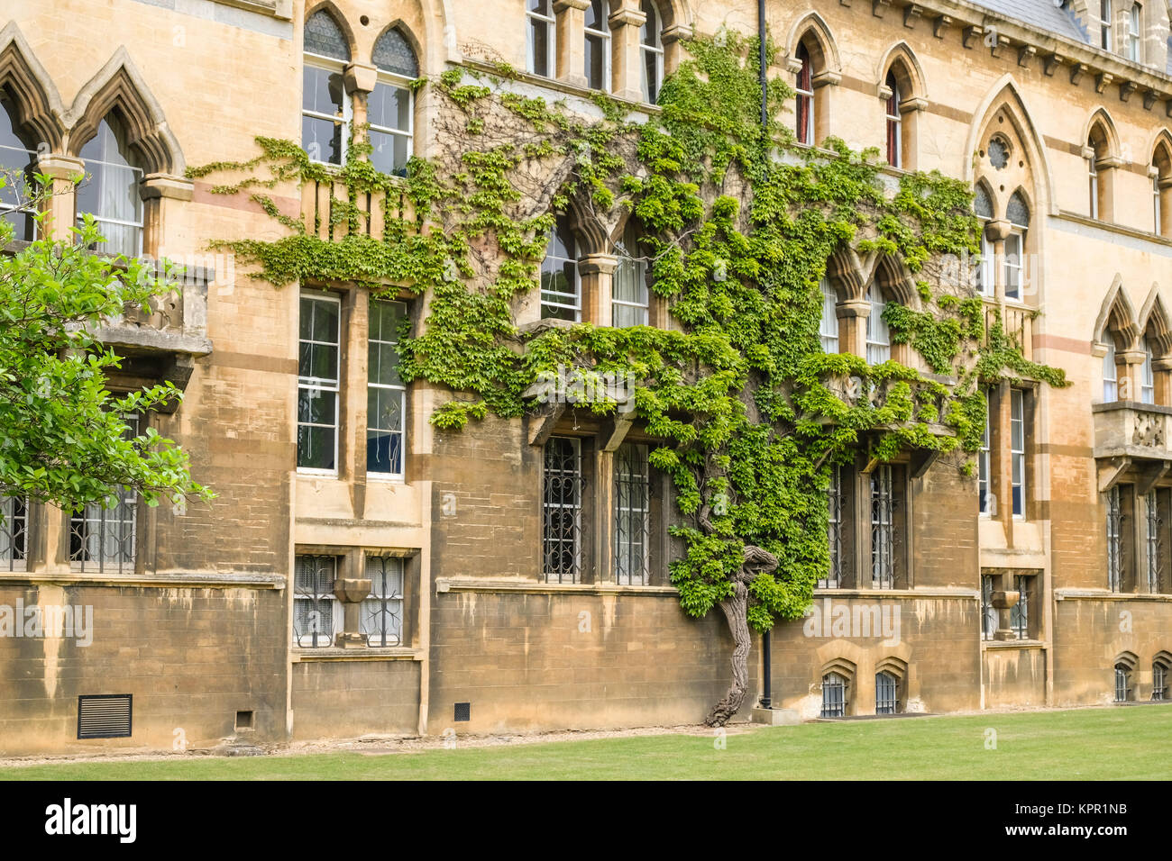 The Meadow Building at Christ Church College, looking from Broad Walk ...